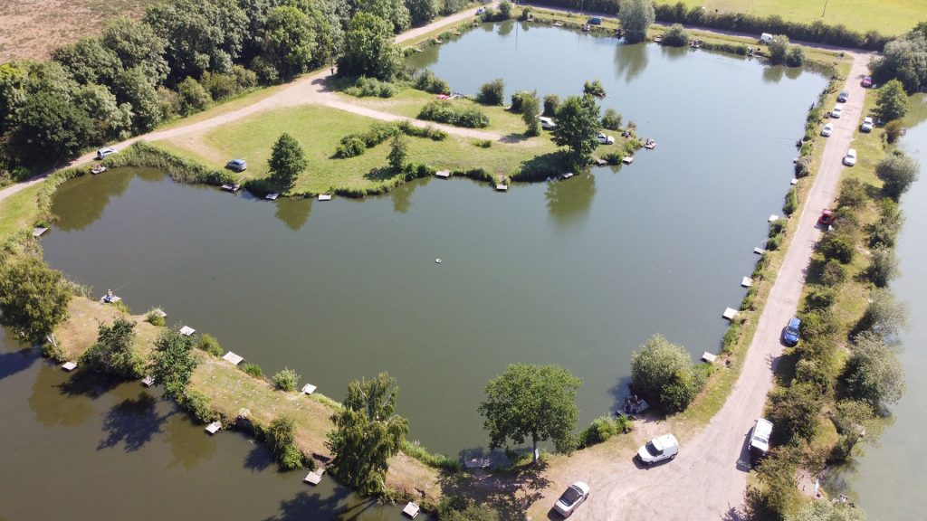 Oak Tree (DT) – Messingham Sands Fishery